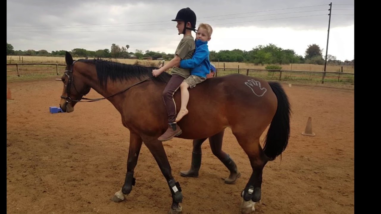 Perdry by Jakkie - YouTube