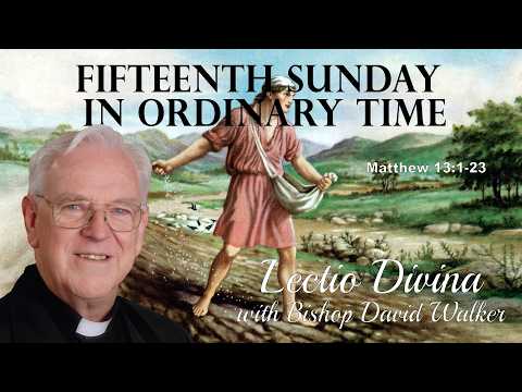 Lectio Reflection - Fifteenth Sunday in Ordinary Time - Matthew 13:1-23 (Year A 2026)