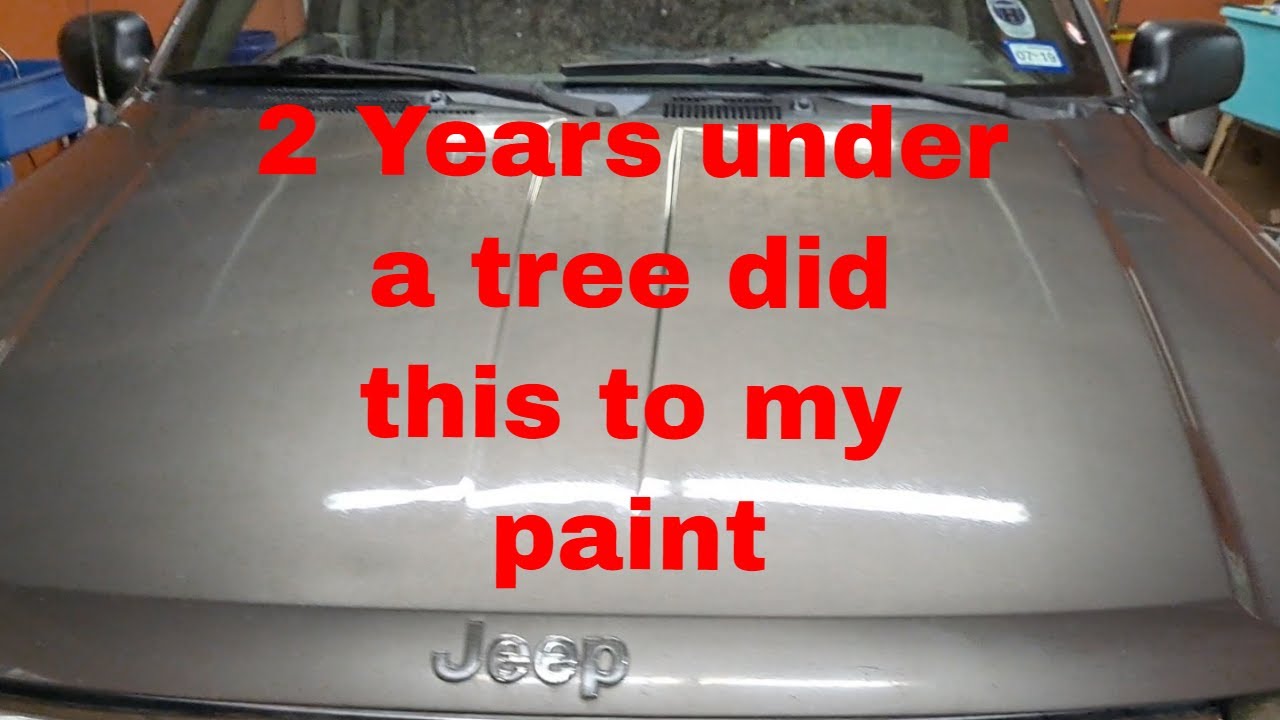 Jeep Paint Pitting. This is why you should never store a vehicle under ...
