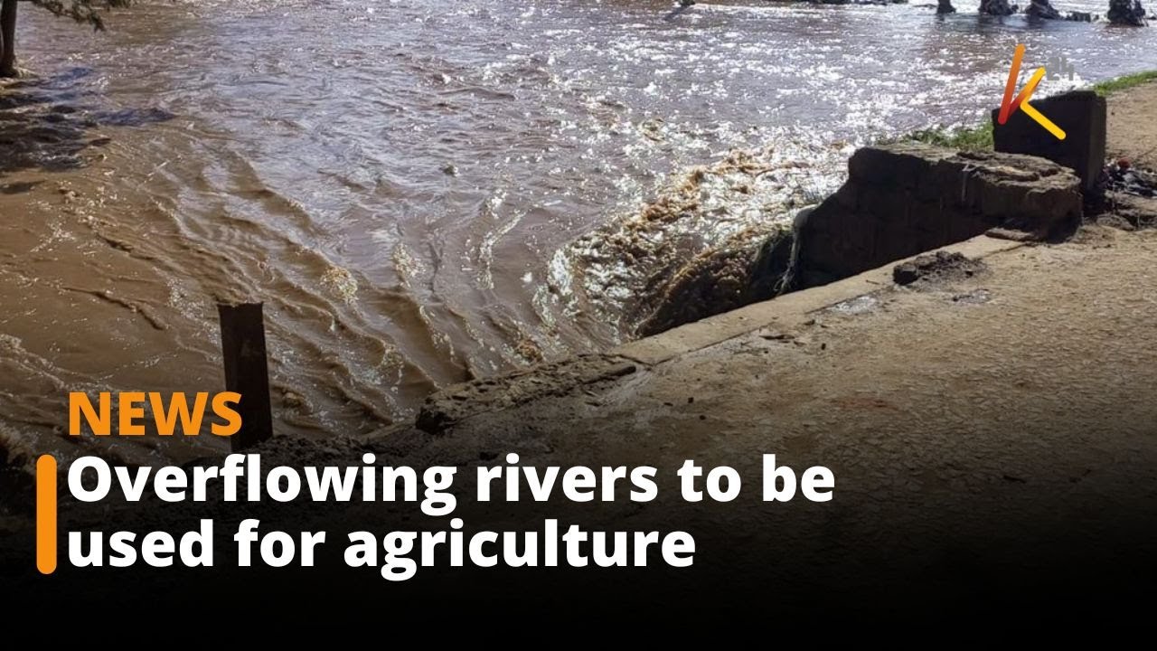 Government mapping out overflowing rivers to harness water for ...