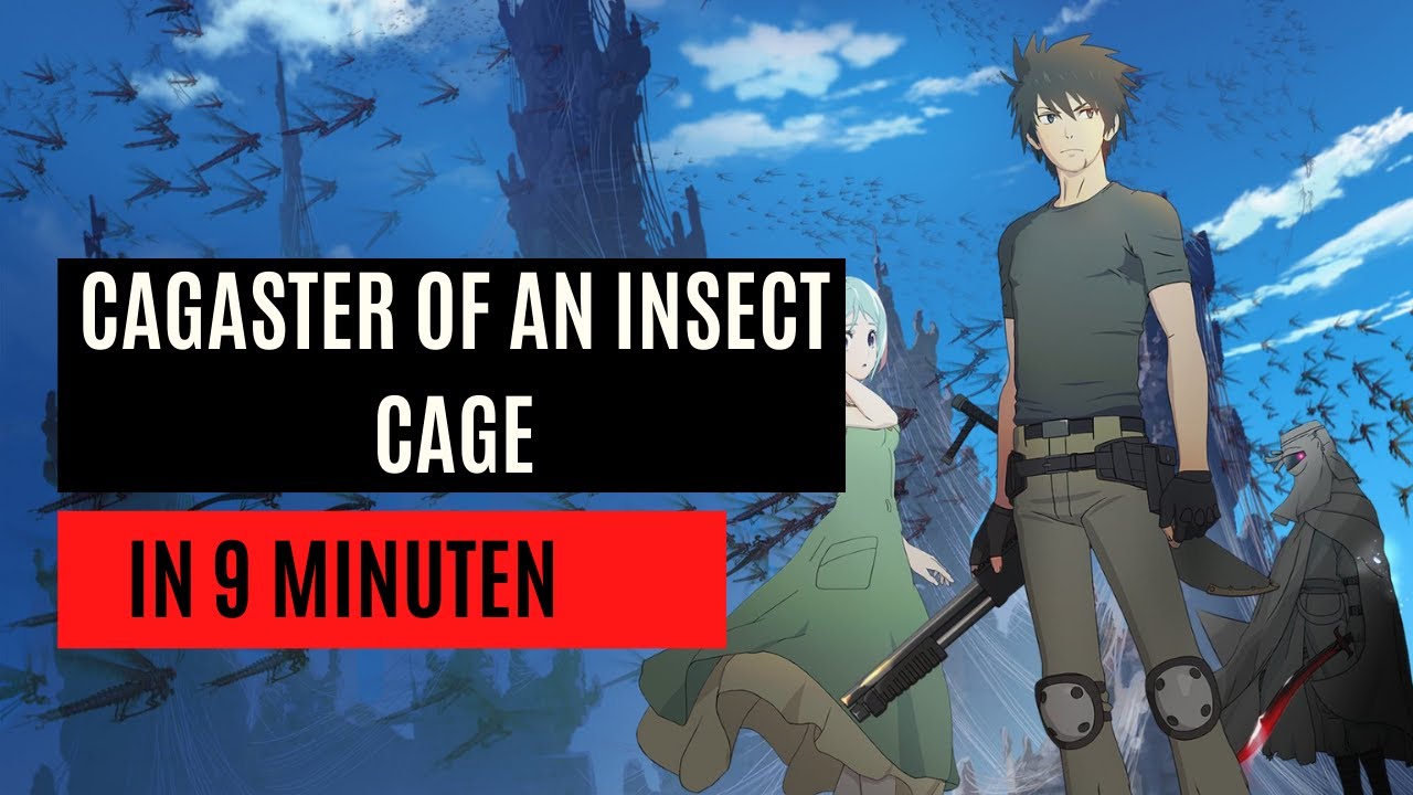 Cagaster of an Insect Cage in 9 Minuten | Deutsch - YouTube