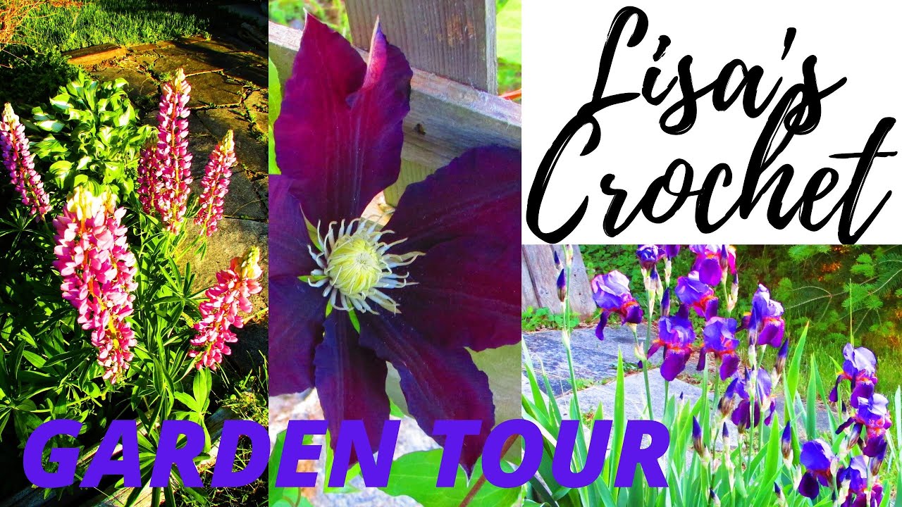 JUST A TOUR AROUND MY SAD GARDENS... - YouTube