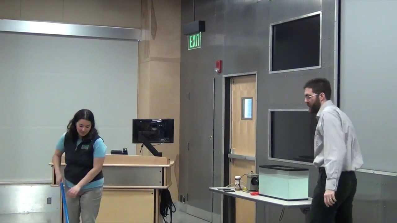 Bubble Bubble Laser Trouble - YouTube