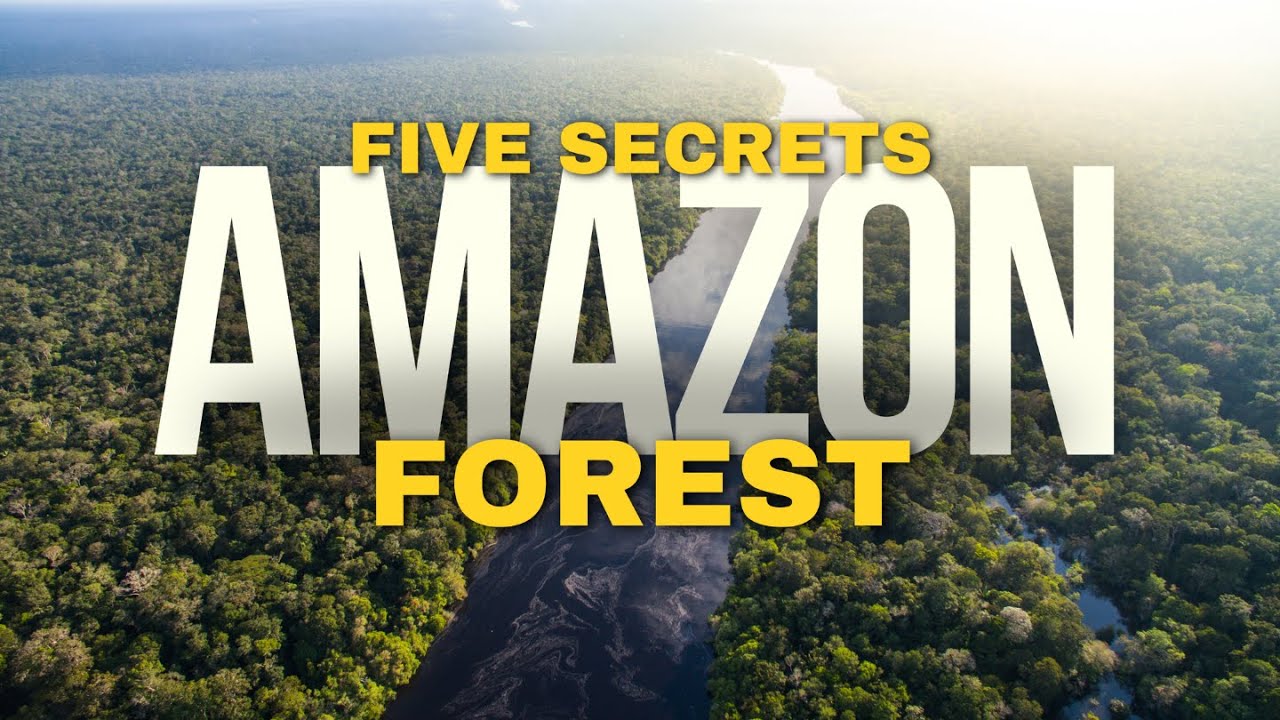 Five Secrets of Amazon Forest | ایمازون کے جنگلات کے پوشیدہ راز - YouTube