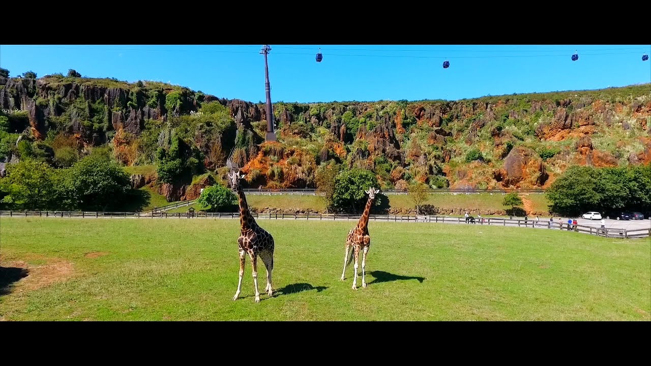 Parque de la Naturaleza de Cabárceno - YouTube