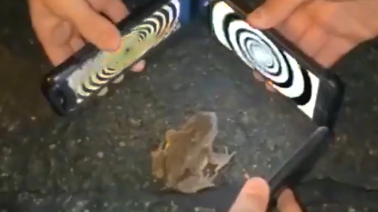 THE MOST UNUSUAL VIDEOS | #30 - YouTube