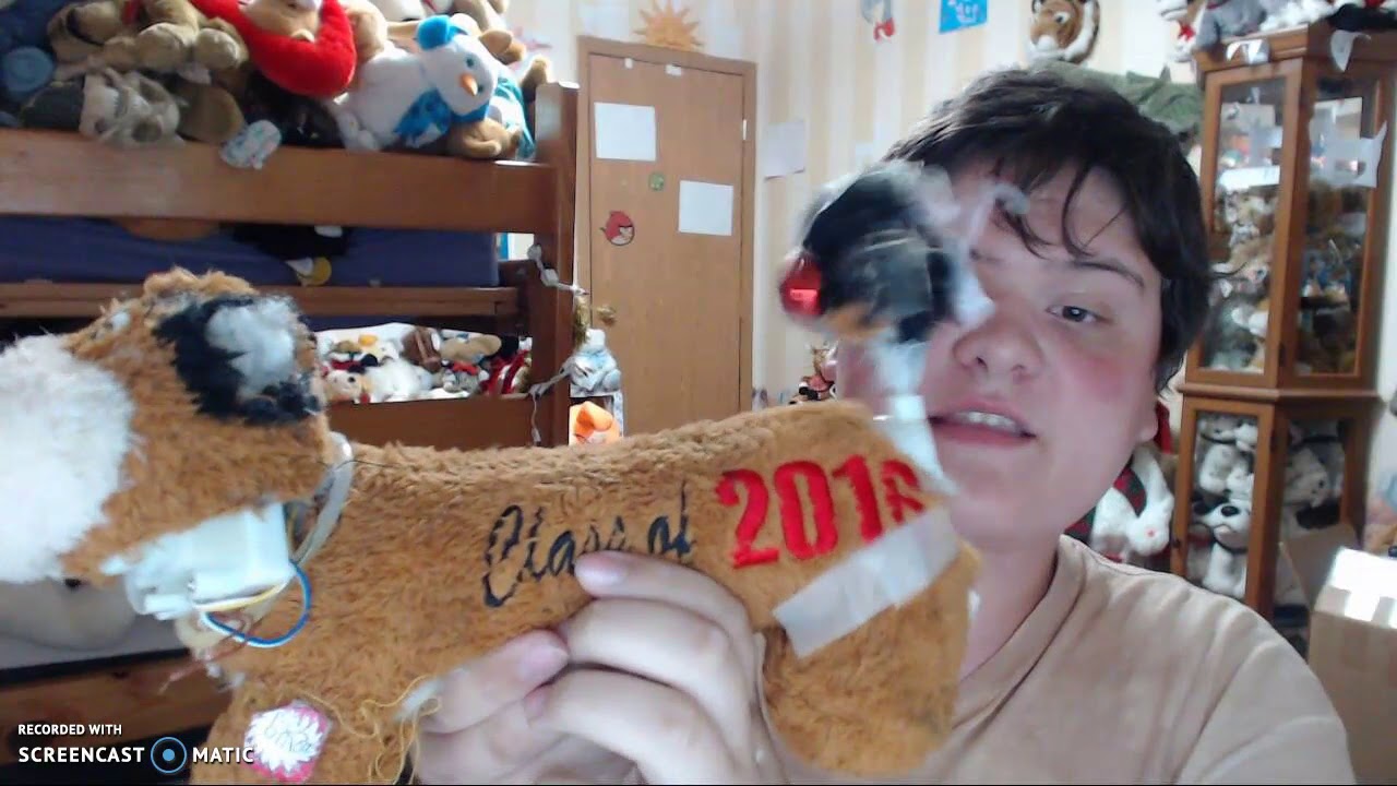 possessed dan dee graduation dog - YouTube