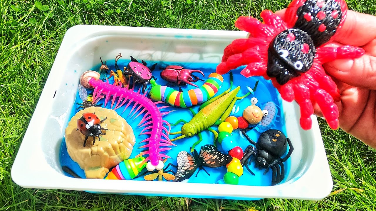 Learn bugs names & fun facts for babies, toddlers, preschoolers, kids ...