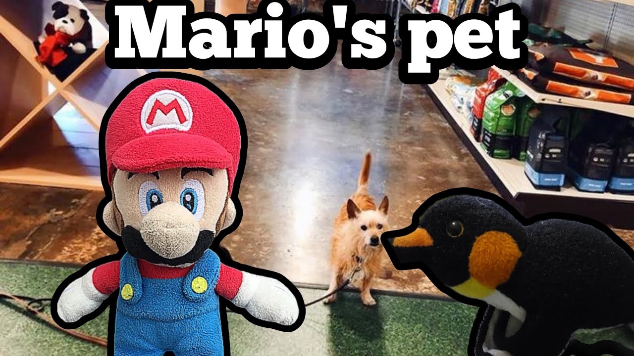 mario 's pet - YouTube