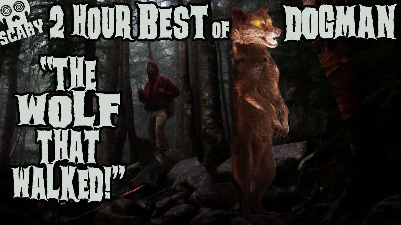 2 Hours BEST of Dogman! "The Wolf Who Walked" - YouTube