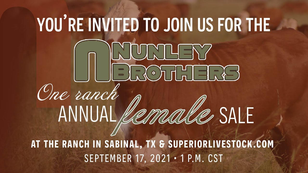 Join the Nunley Brothers for their Annual One Ranch Female Sale on Sept ...