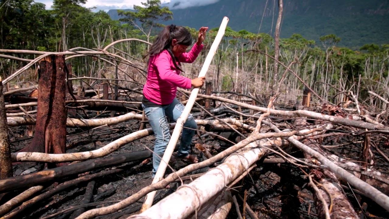 Siembra Conuco - YouTube