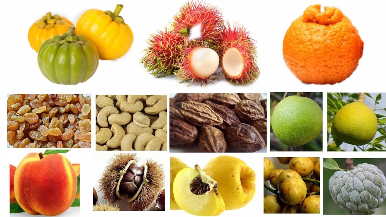 100 Fruits Name in English and Assamese | ১০০ বিধ ফলৰ নাম ইংৰাজী আৰু ...