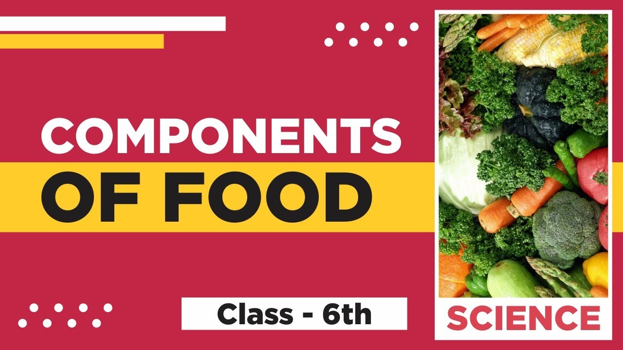 Science | Components of Food | 6th Class - YouTube