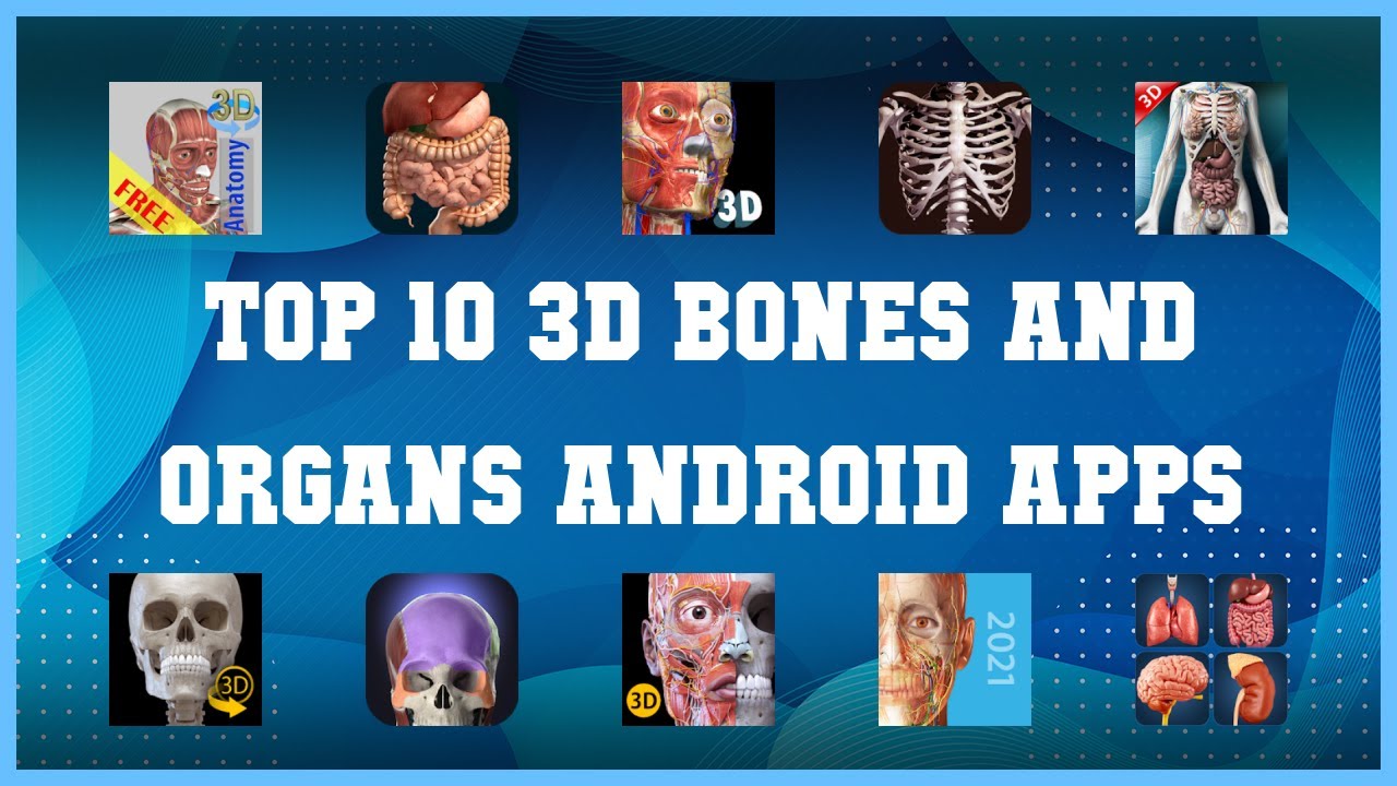 Top 10 3D Bones and Organs Android App | Review - YouTube