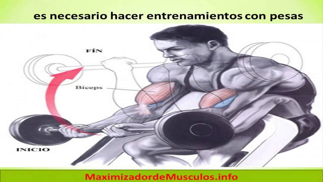 Como Definir los Musculos - YouTube