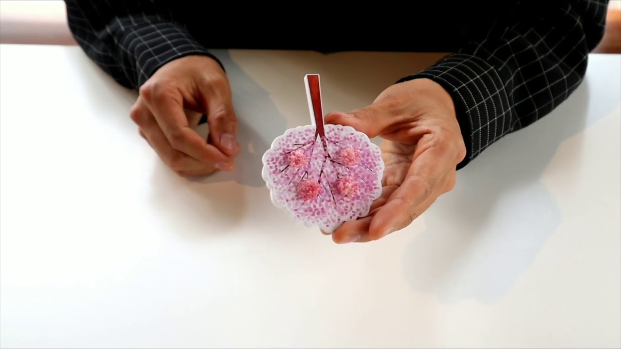 Cherry blossom by Hugo Choi / セオマジック - YouTube