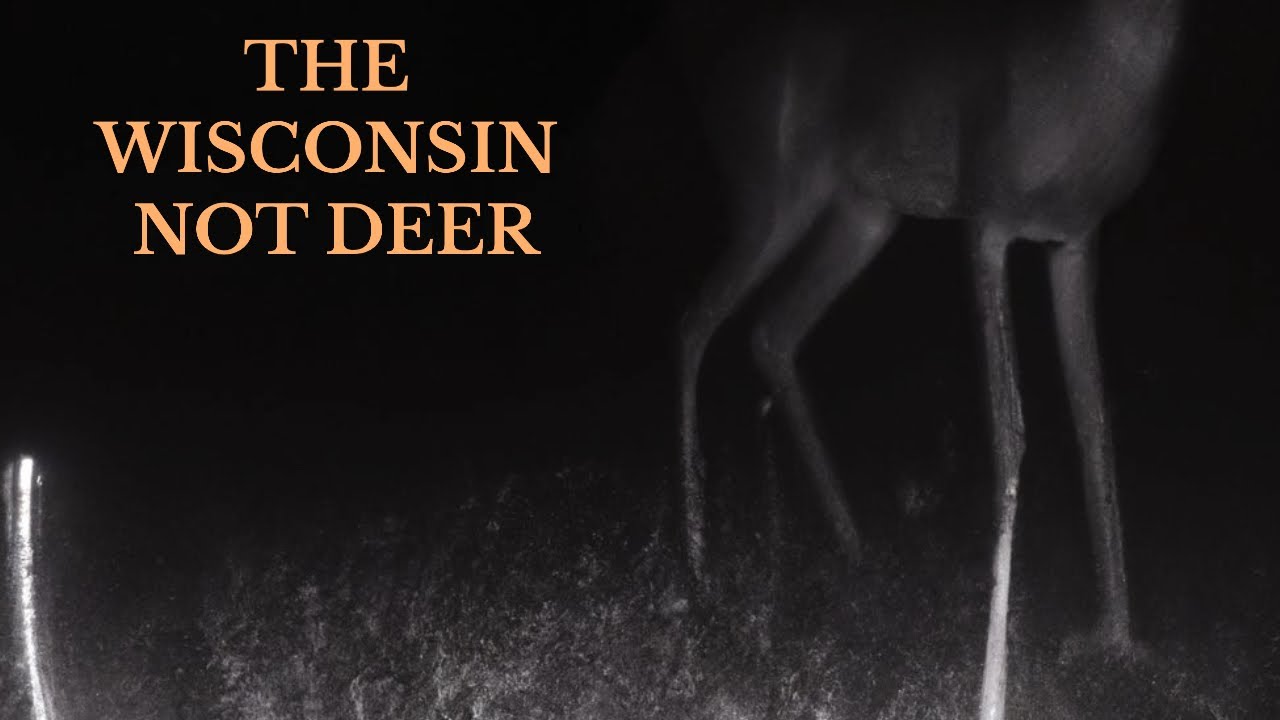 The Wisconsin Not Deer - YouTube