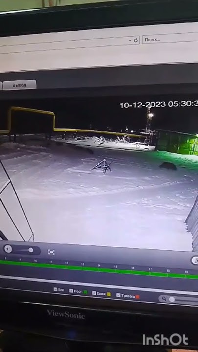 нашествие Волков Youtube