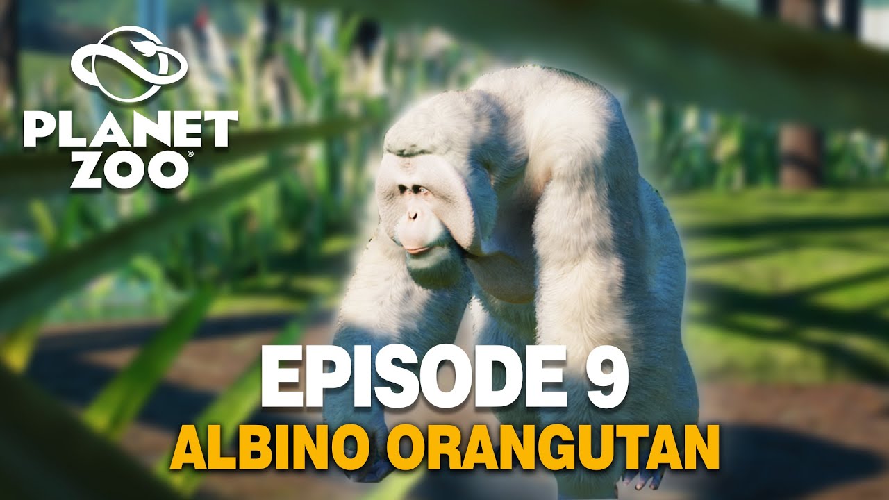 AVIARY KACA TERBESAR DAN ORANGUTAN ALBINO - CHALLENGE MODE EPISODE 9 ...
