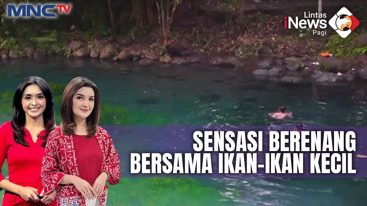 Rasakan Sensasi Berenang dan Menyelam Bersama Ikan-Ikan Kecil di Sumber ...