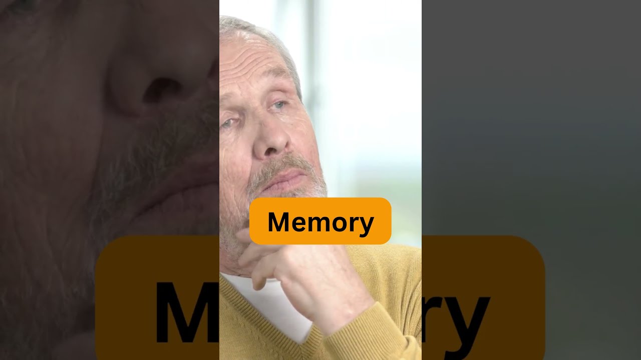 The Purpose Of Memory YouTube The Purpose Of Memory YouTube