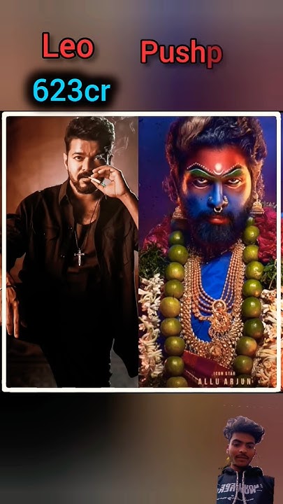 Vijay Thalapathi 🆚 Allu Arjun all movies 🎥 collection 💥||#vijaythalapati #allu Arjun # ...