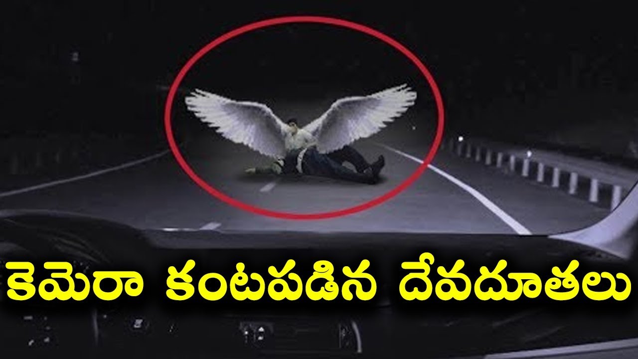 Pictures Of Angels Caught On Camera