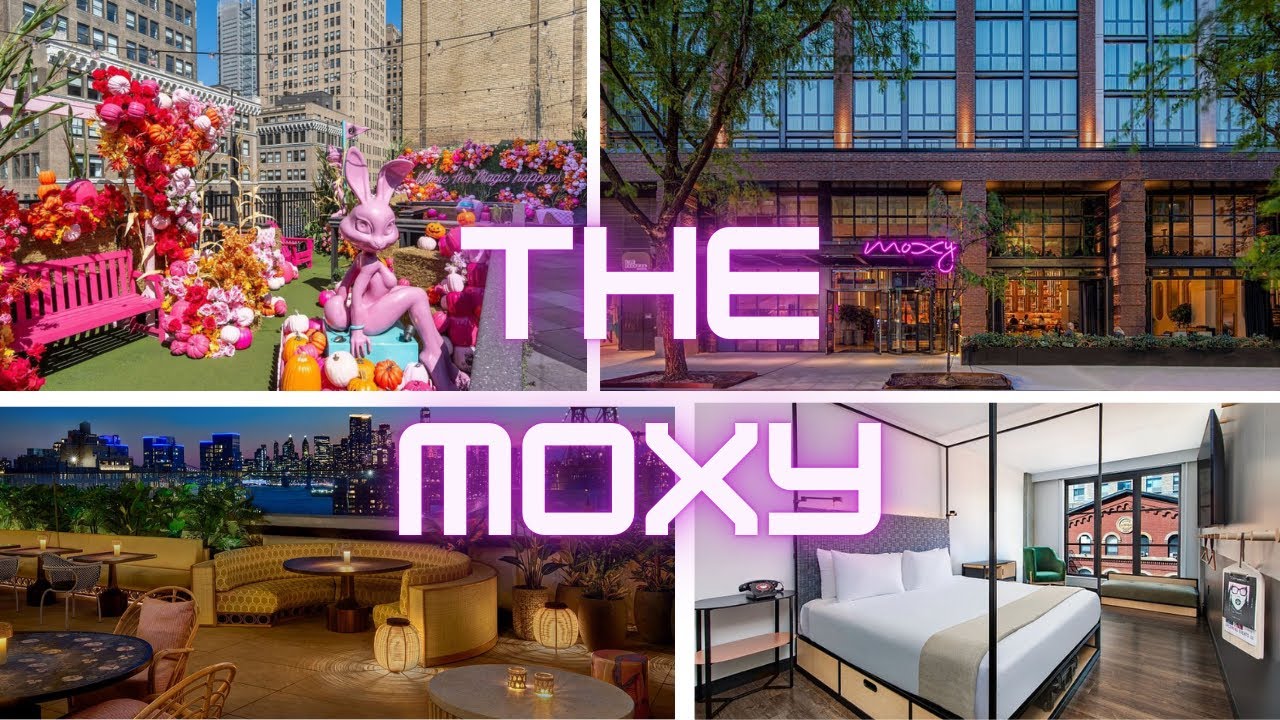 The Best 6 Moxy Hotels: Which One Would You Stay At? - YouTube