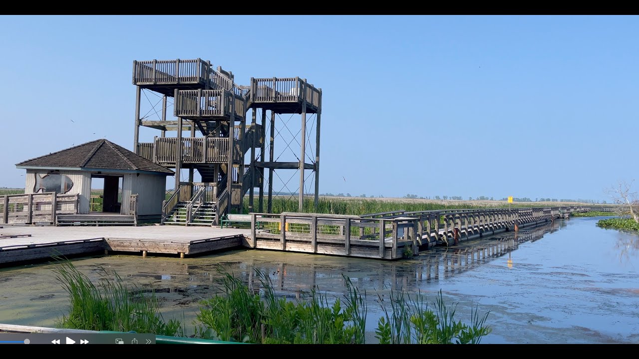 Point Pelee National Park, Ontario, Canada - YouTube