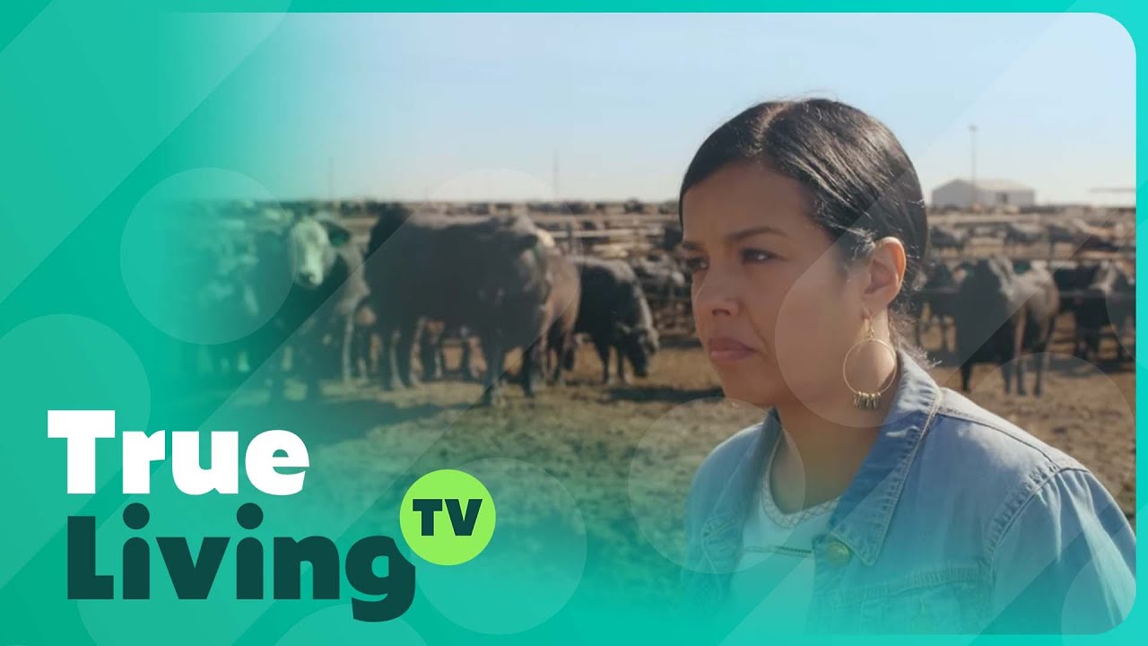 The Dark Side of Meat: A Threat to Our Planet Revealed | True Living TV ...