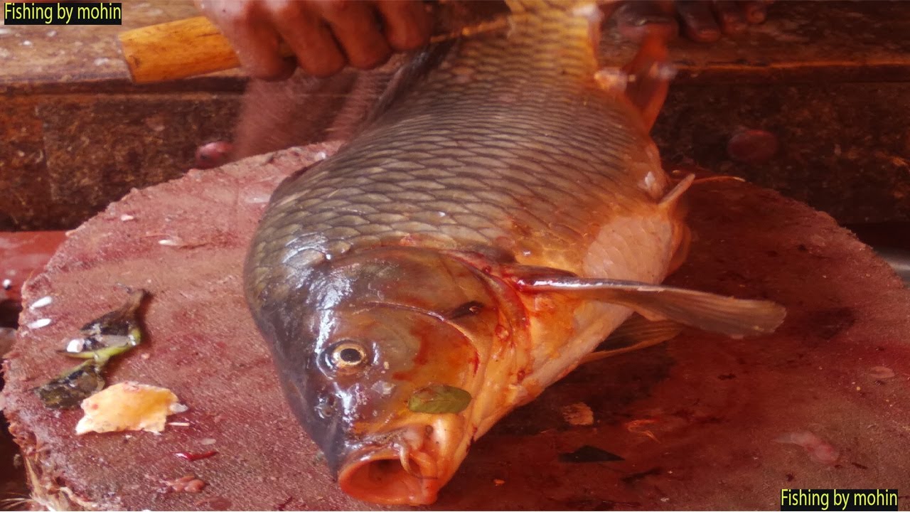Big Carp Fish Cutting Skill। Amazing Carp Fish Cutting। Live Fish ...