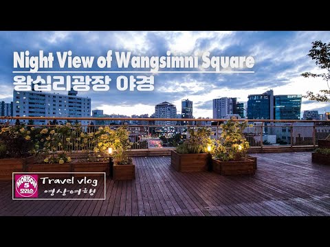 [4K] Night View of Wangsimni Square // 왕십리광장 야경 // Travel Vlog // 모리슨 ...