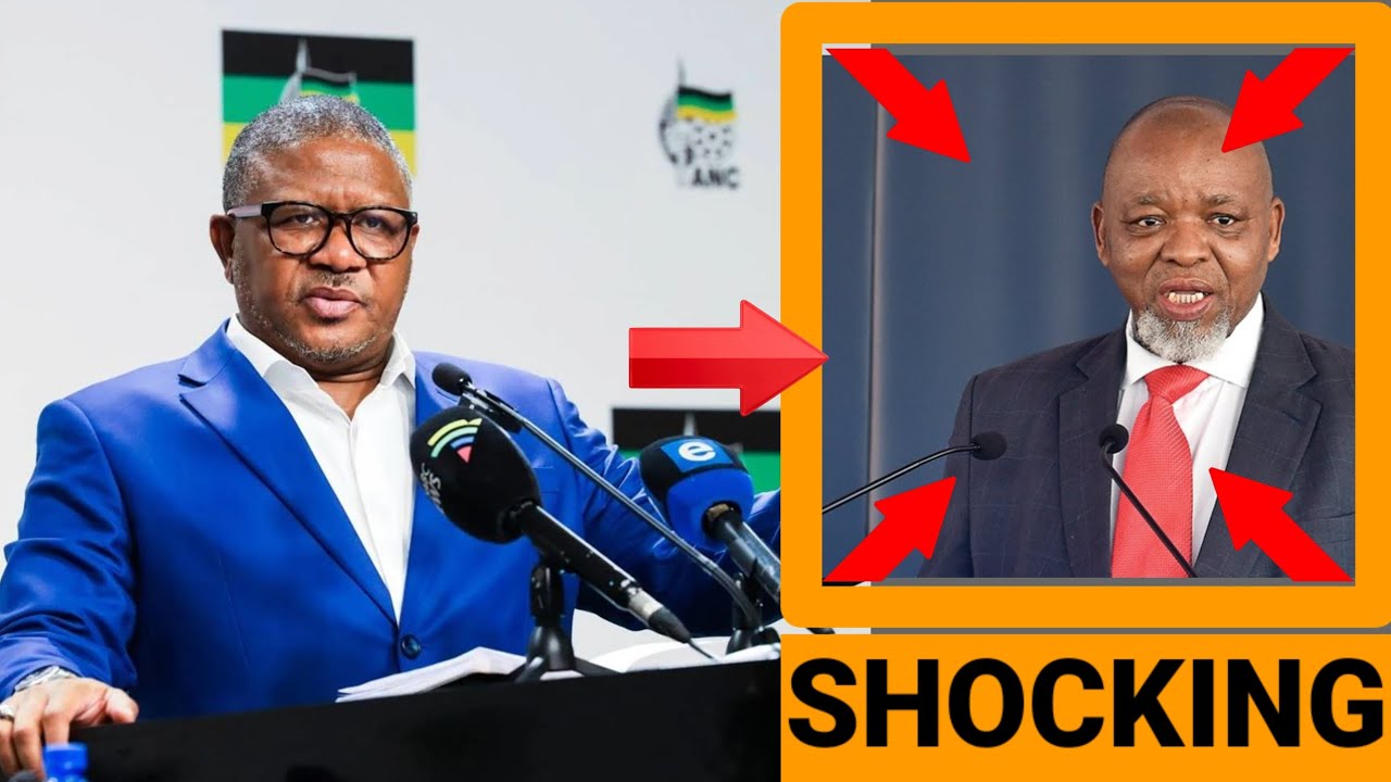 Fikile Mbabula Testifies in Court :Explosive Claims of Gwede Mantashe's ...