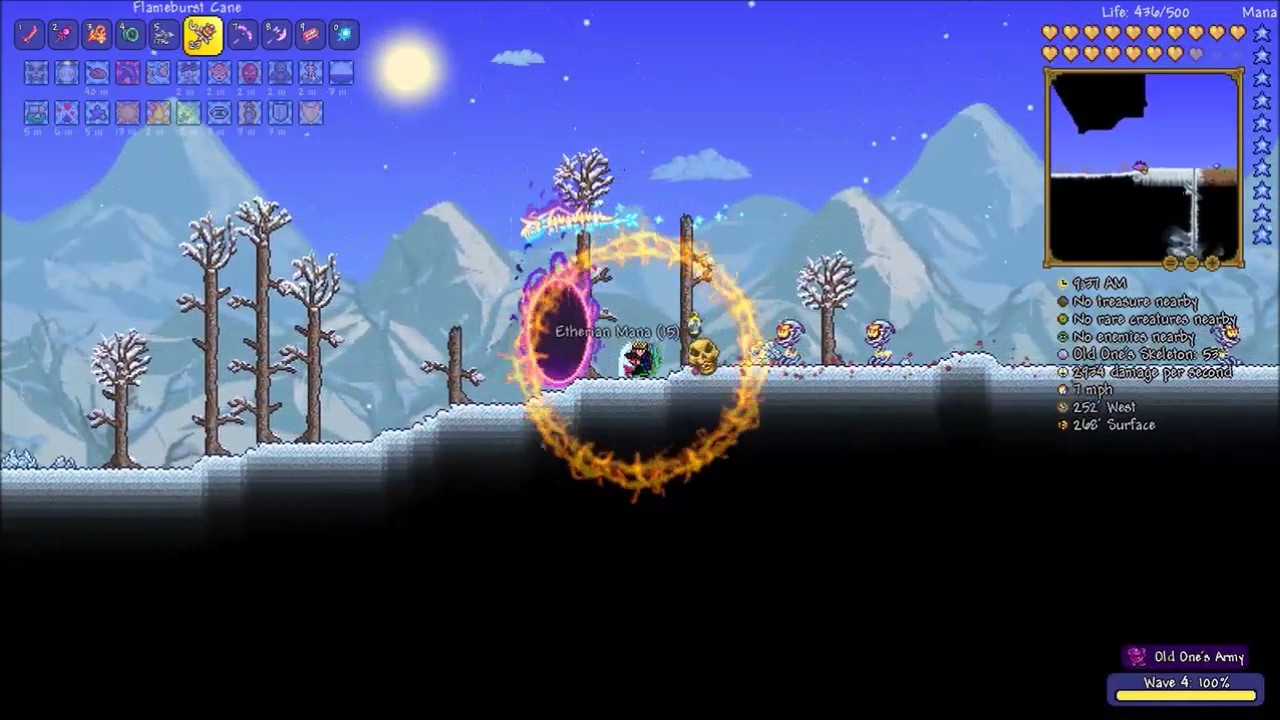 TRYING to fight betsy / Terraria - YouTube