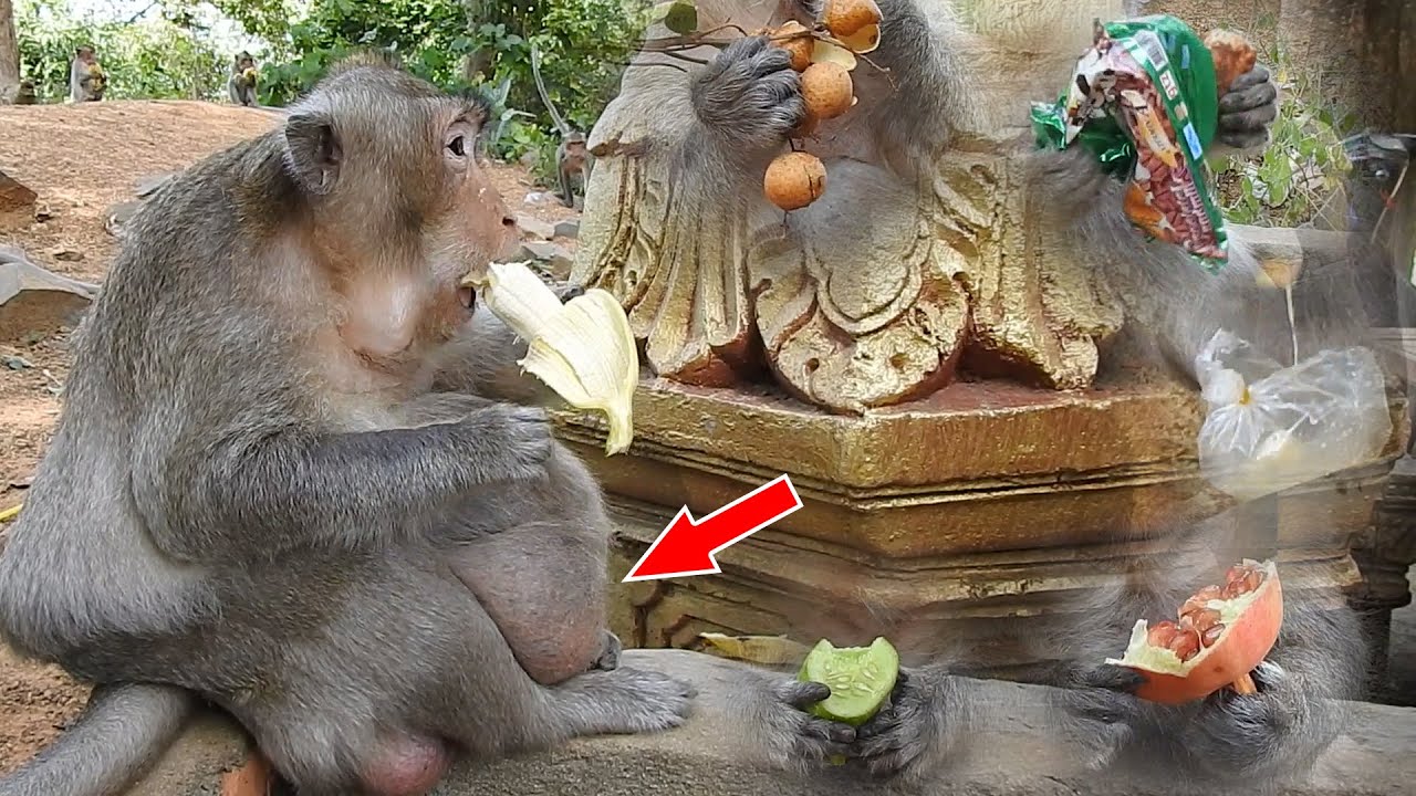 Wow...Fat Charlie eats a lot, Eating almost explode, This is the reason ...