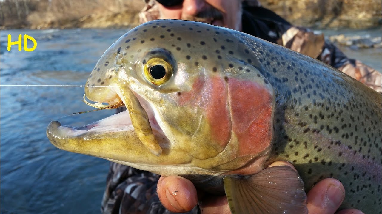 MUTANT MARCH STEELHEAD - YouTube