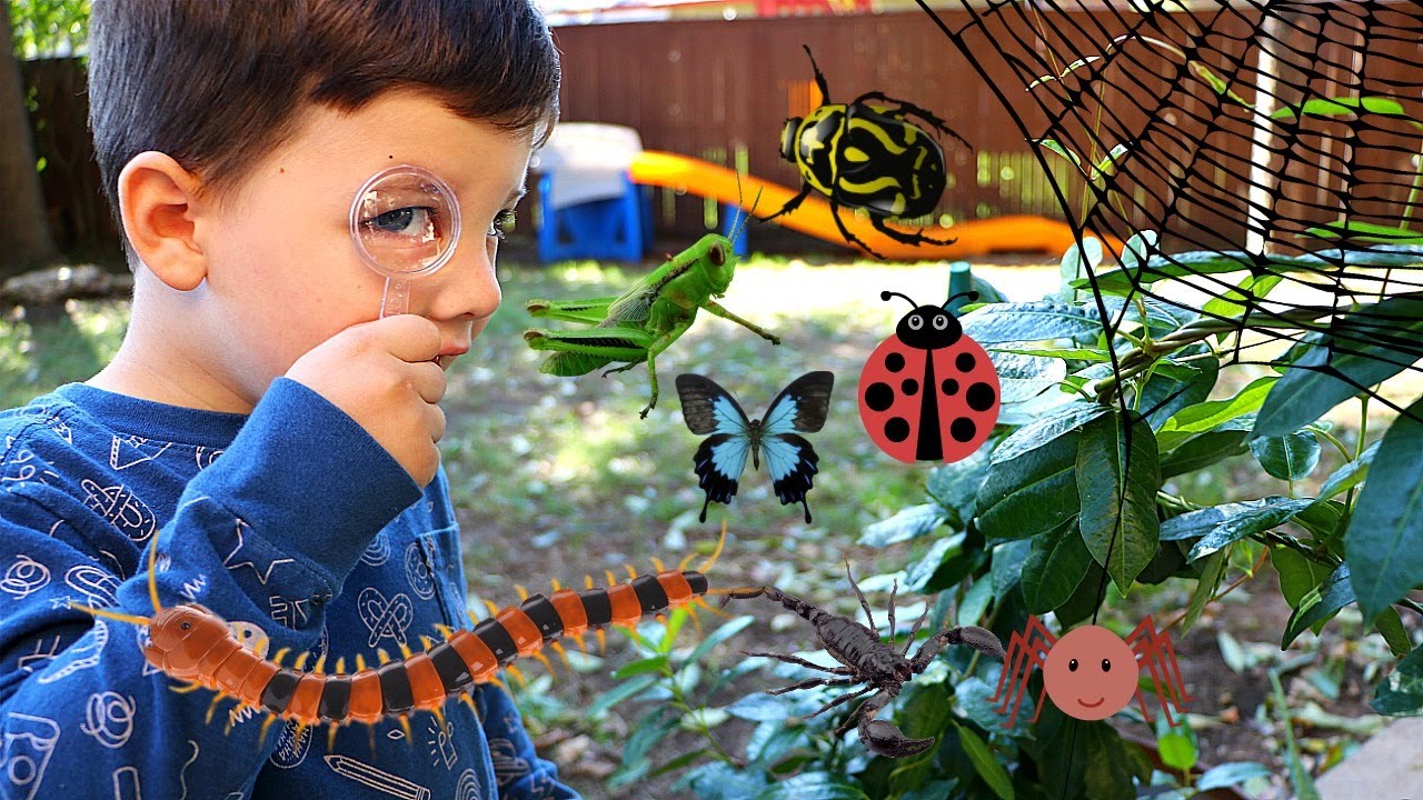 BUGS FOR KIDS! Learn Insects Names with Caleb & Mommy! BUGS and CRAWLY ...