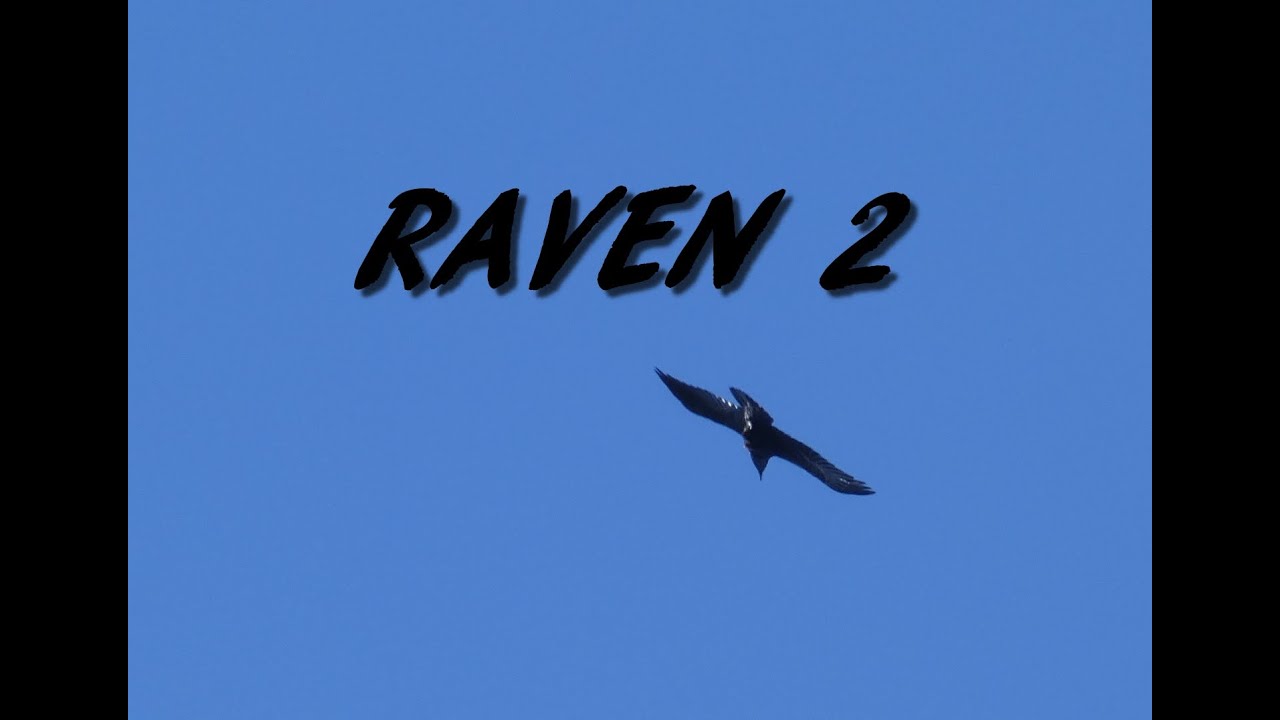 Raven 2 - YouTube