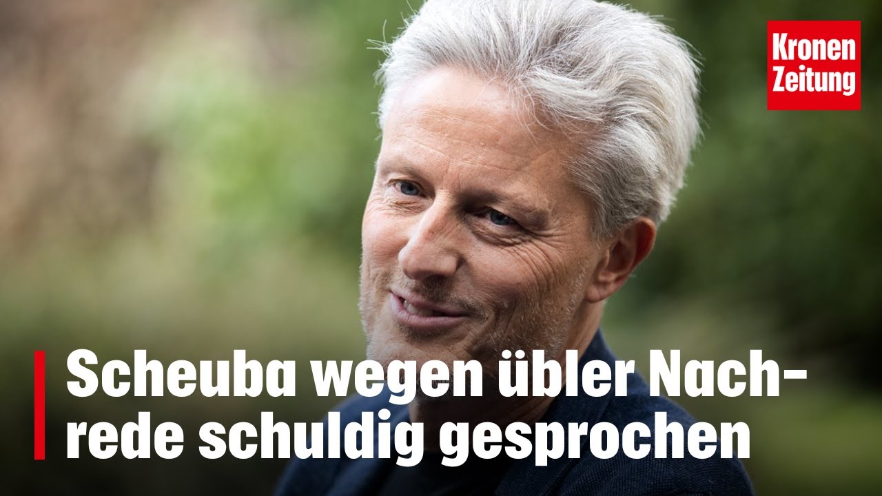 "Ibiza-Video": Scheuba wegen übler Nachrede schuldig gesprochen | krone ...