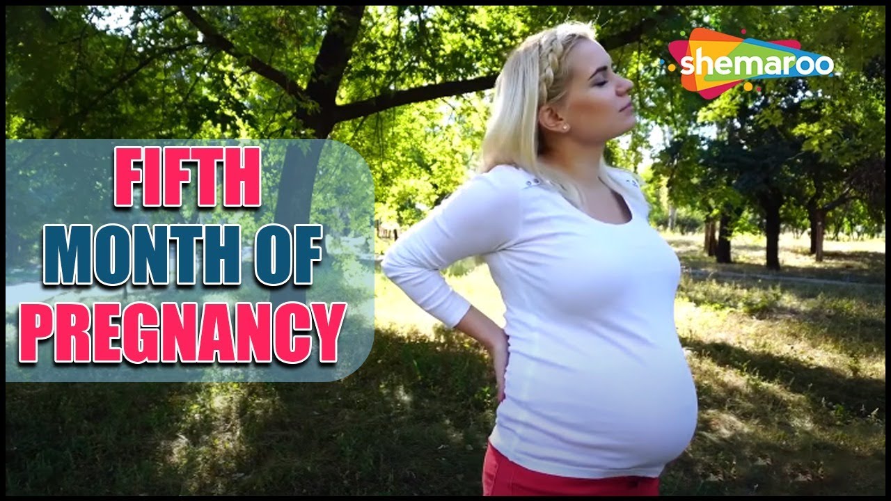 Fifth Month of Pregnancy | Guidance & Instruction | Healthly Tips for ...