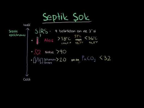 Sepsis: Sistemik İnflamatuar Yanıt Sendromu (SIRS) ve Çoklu Organ Yetmezliği Sendromu (MODS) Sağlık
