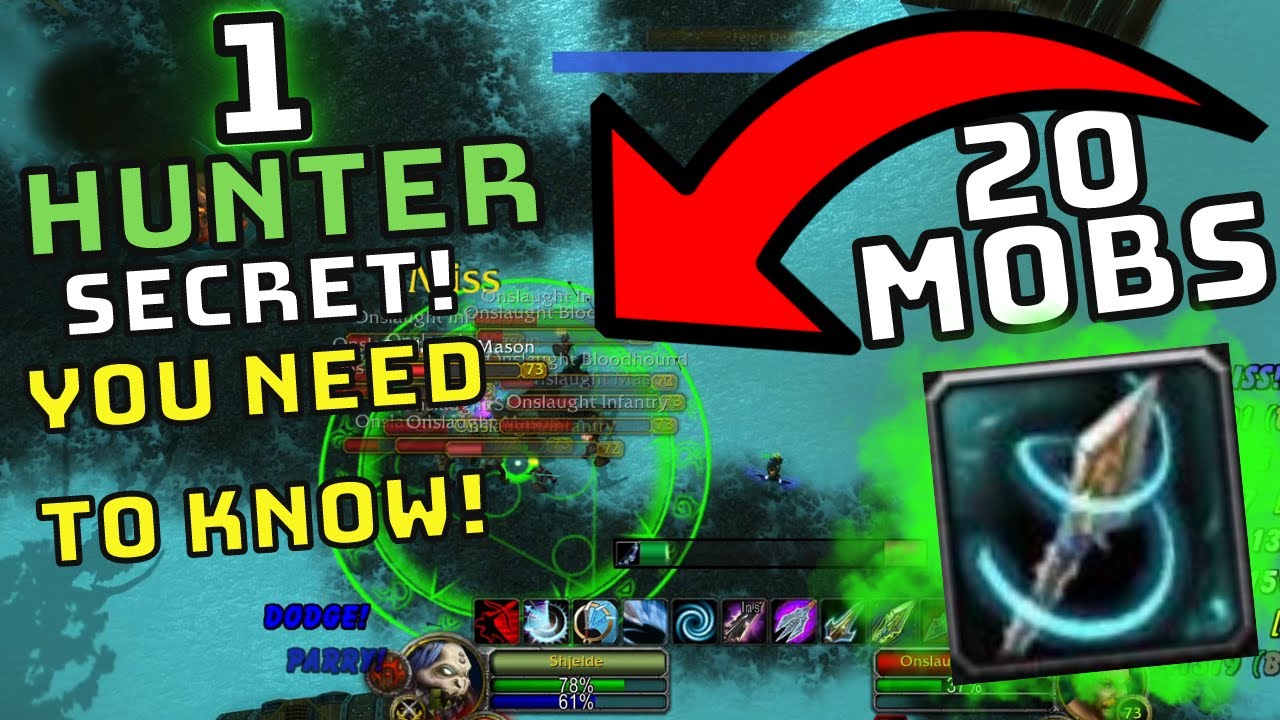 Wotlk Hunter Aoe Farmleveling Short Guide Youtube