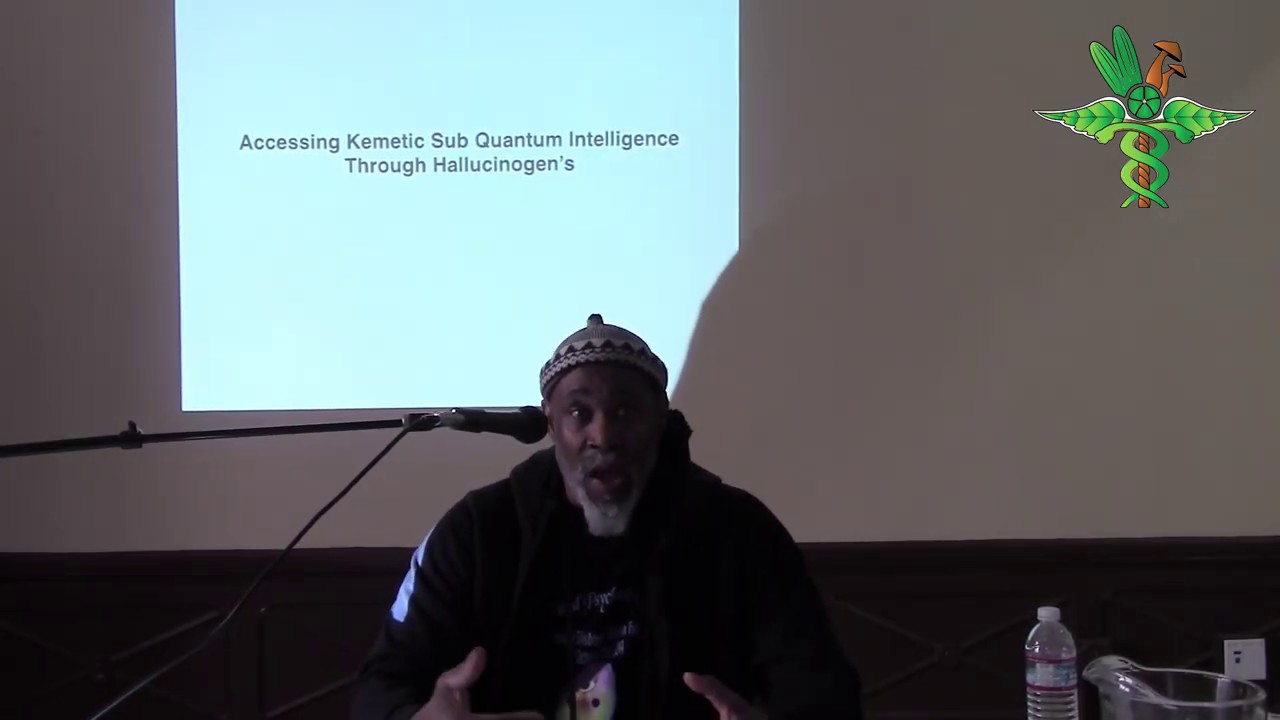 Baba Kilindi Iyi and the Detroit Psychedelic Conference (February 9th ...