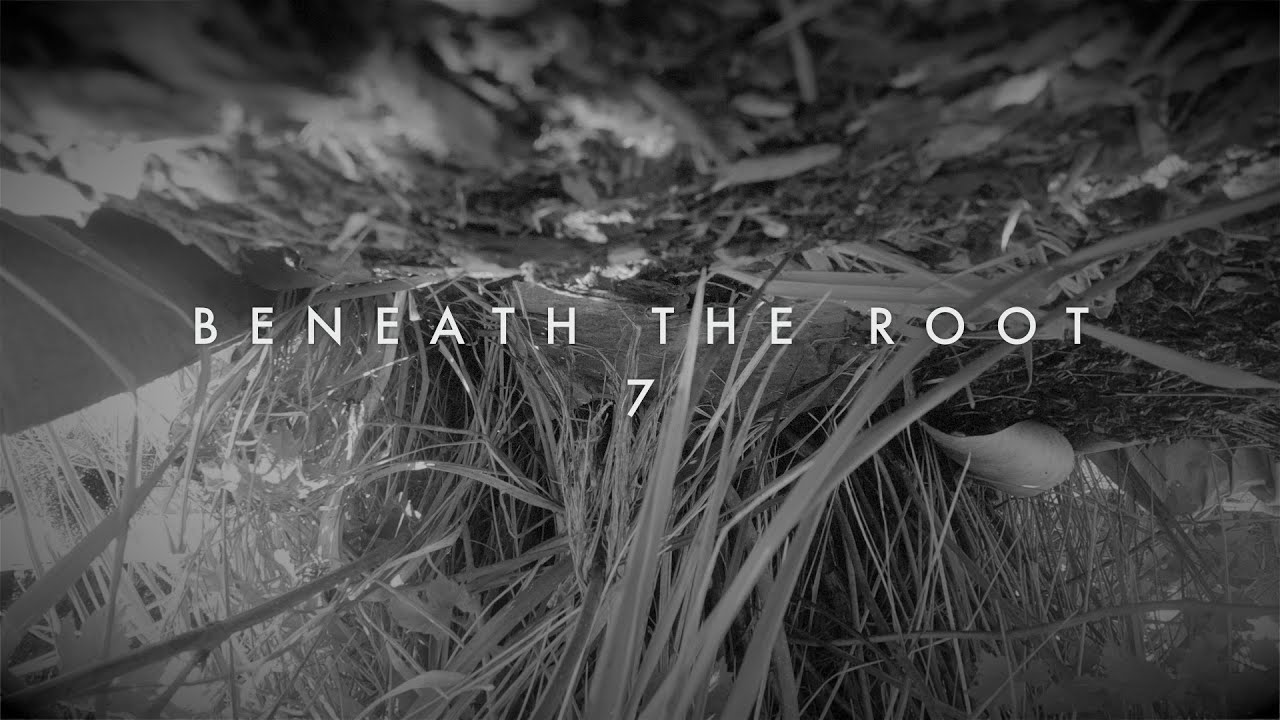 BENEATH THE ROOT - 7 - YouTube