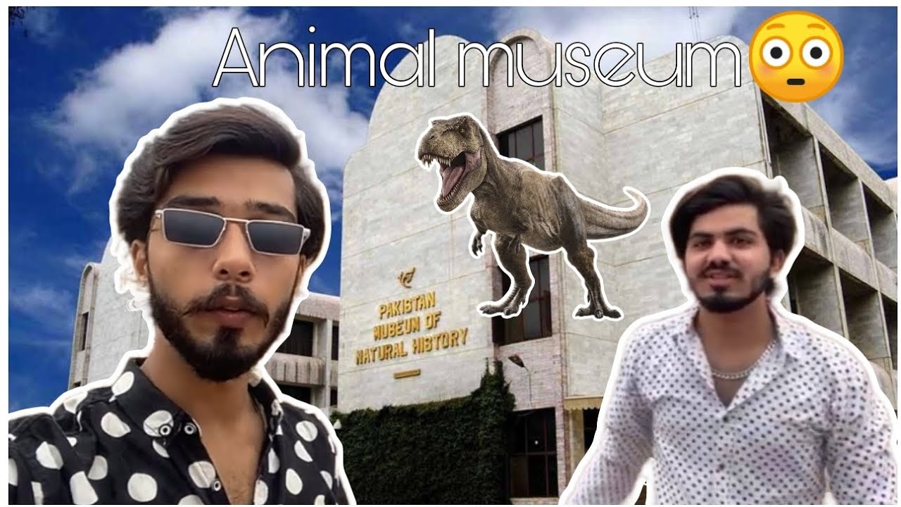 lok virsa sy animal museum 😳🦖|D'bros Vlogs| - YouTube