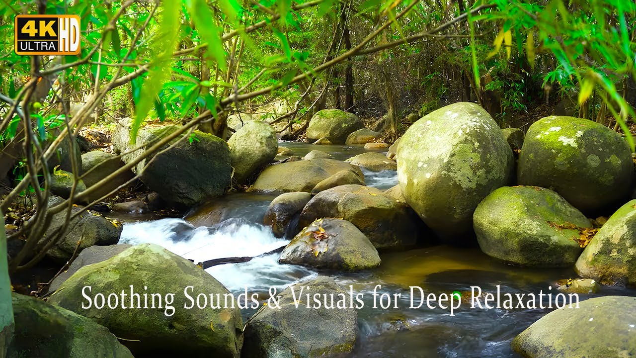 Forest Bathing: Soothing Sounds & Visuals for Deep Relaxation - YouTube