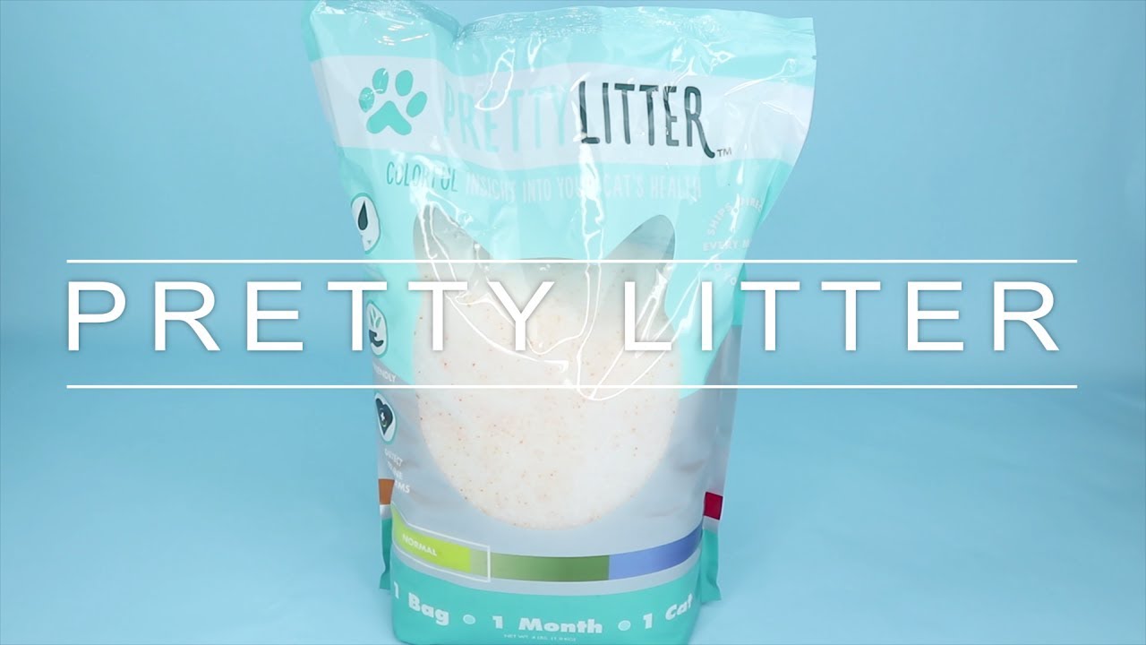 Pretty Litter ft. Dali the Cat! - YouTube