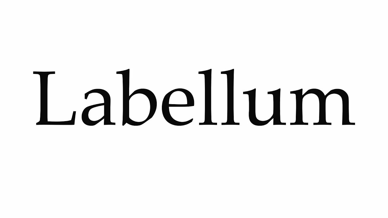 How to Pronounce Labellum - YouTube