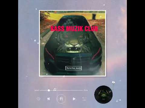 Bass muzika mashina bop